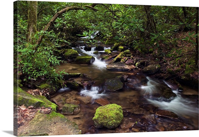 Rushing stream through Appalachian hardwood forest, spring, Great Smoky ...