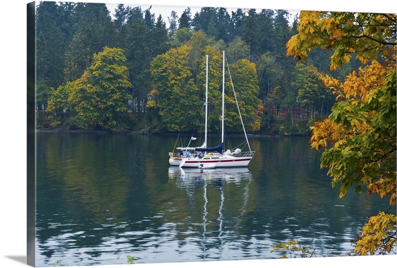 Sailboats in a lake, Washington State | Great Big Canvas