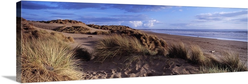 Sand dunes on the beach Saunton Sands Saunton North Devon Devon England ...