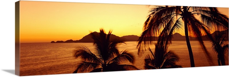 Silhouette of palm trees at dusk, Manzanillo, Mexico | Great Big Canvas