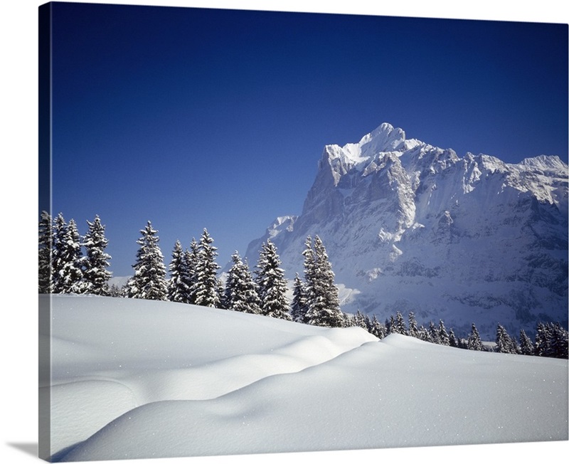 Snow Grindelwald Switzerland | Great Big Canvas