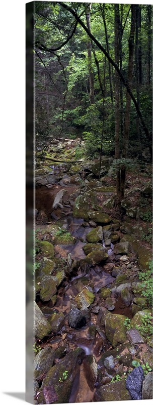 Stream flowing through rocks, Appalachian Mountains, North Carolina ...