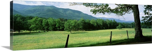 Tennessee, Great Smoky Mountains National Park, Cades Cove, Meadow ...
