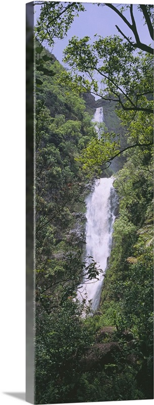 Tree in front of a waterfall, Moaula Falls, Halawa Valley, Molokai ...
