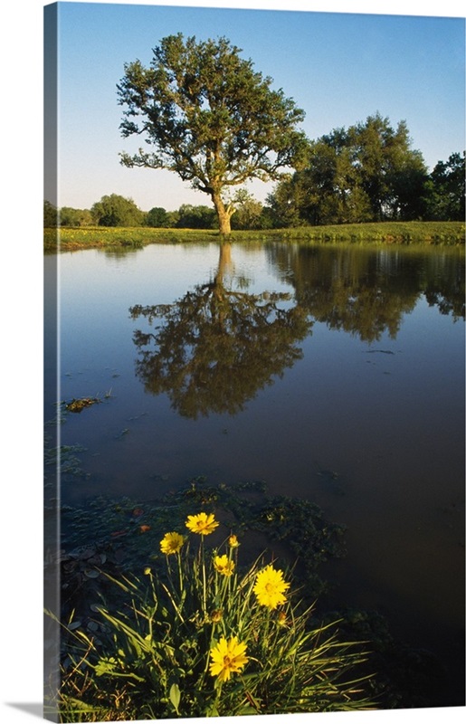 Trees And Flowers Around Pond | Great Big Canvas