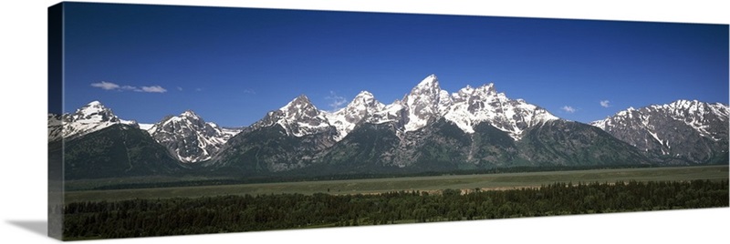 Trees in a forest with mountains in the background, Teton Point Turnout ...