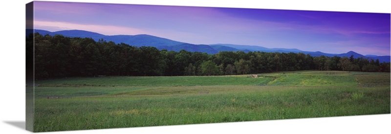 Trees in a valley, Rockbridge County, Shenandoah Valley, Virginia ...