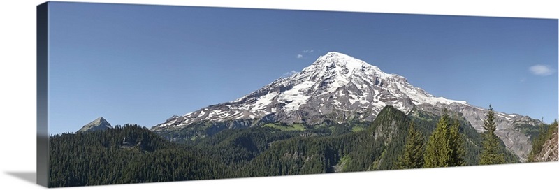 Trees in front of a mountain, Mt Rainier, Mt Rainier National Park ...