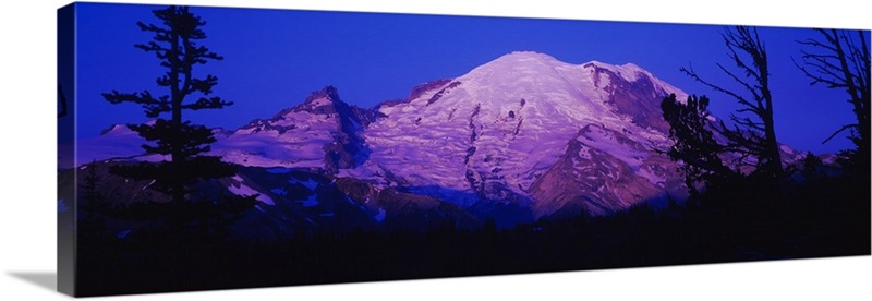Trees in front of mountains, Mt Rainier, Mt Rainier National Park ...