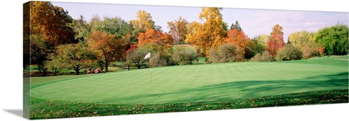 Trees on a golf course | Great Big Canvas