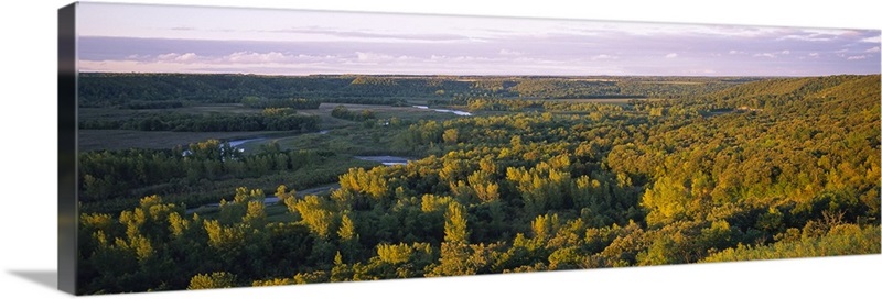 Trees on a landscape, Pembina Gorge, North Dakota | Great Big Canvas