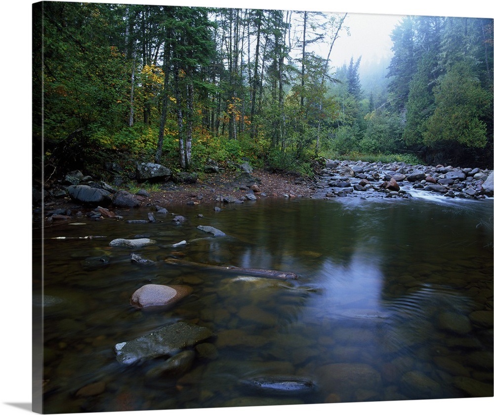 View of rocky Cascade River winding through forest, Cascade River State ...
