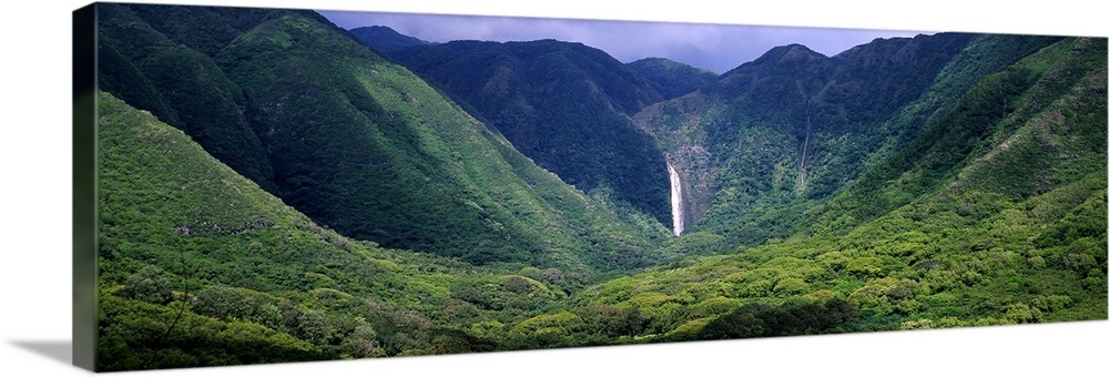 Waterfall in a forest, Moaula Falls, Halawa Valley, Molokai, Hawaii ...