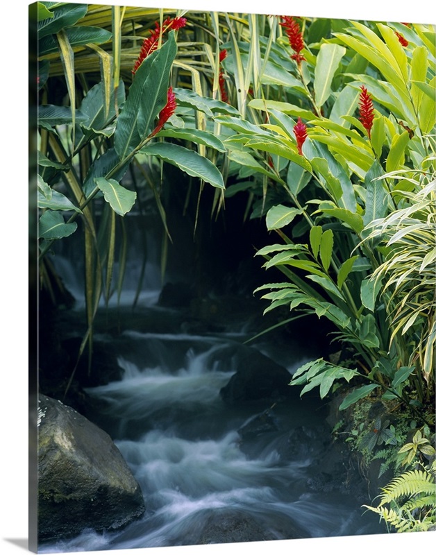 Waterfall in a forest, Tabacon, Costa Rica | Great Big Canvas