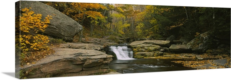 Waterfall in the forest, Kaaterskill Falls, Catskill Mountains, New ...