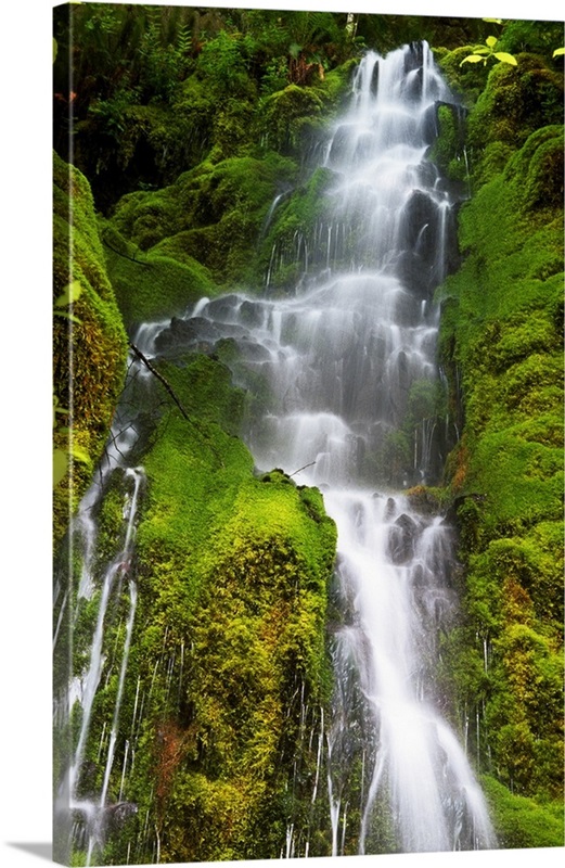 Waterfall over mossy rocks, Oregon Cascades, Oregon, united states ...