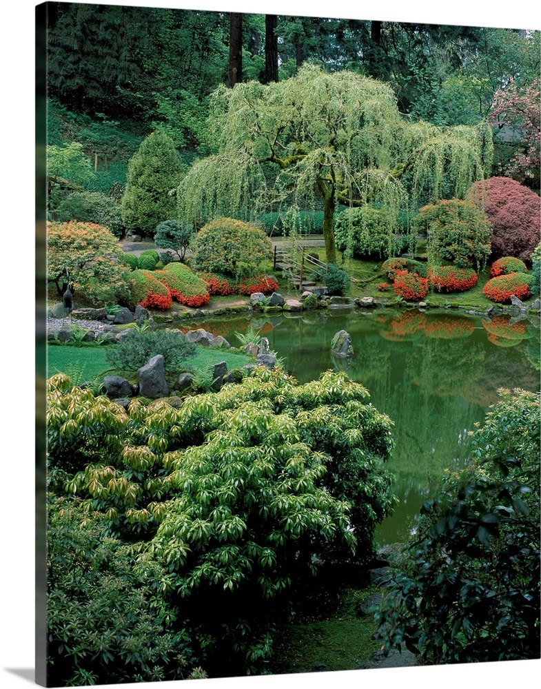 Weeping willow tree and pond in a Japanese Garden, Washington Park ...