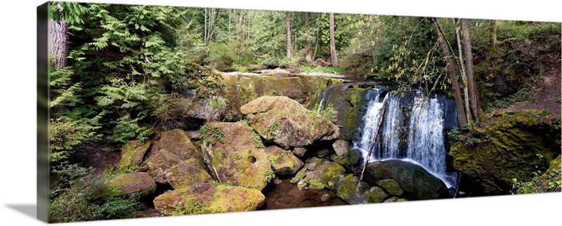 Whatcom Falls Park, Bellingham, Whatcom County, Washington State ...