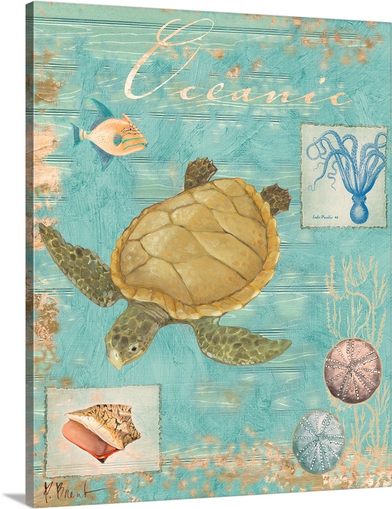 Oceanic Collage Turtle Wall Art, Canvas Prints, Framed Prints, Wall ...