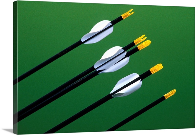Archery arrows | Great Big Canvas