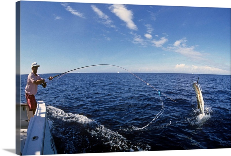 Deep sea fisherman catching a swordfish | Great Big Canvas