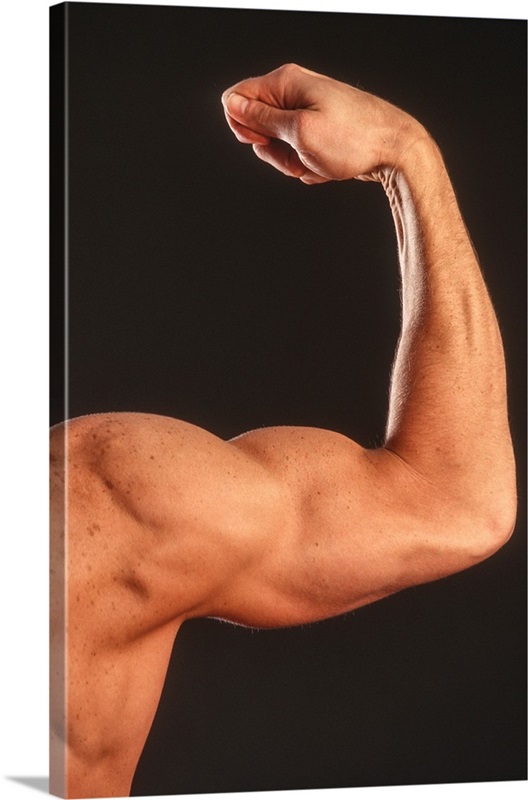 Detail of male's arm and shoulder | Great Big Canvas