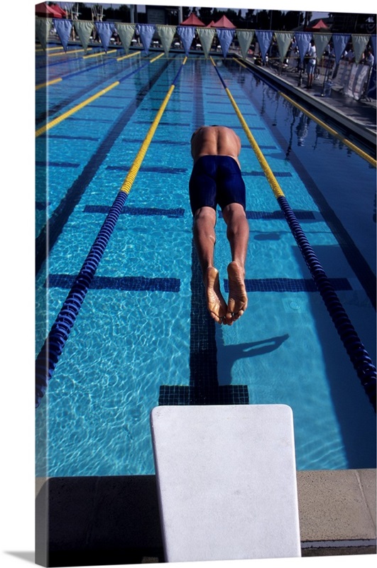 Swimmer diving off the starting blocks to begin a race | Great Big Canvas