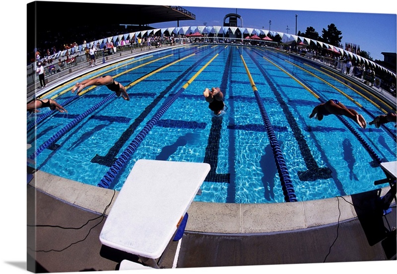 Women diving into the pool to start a swimming race. | Great Big Canvas