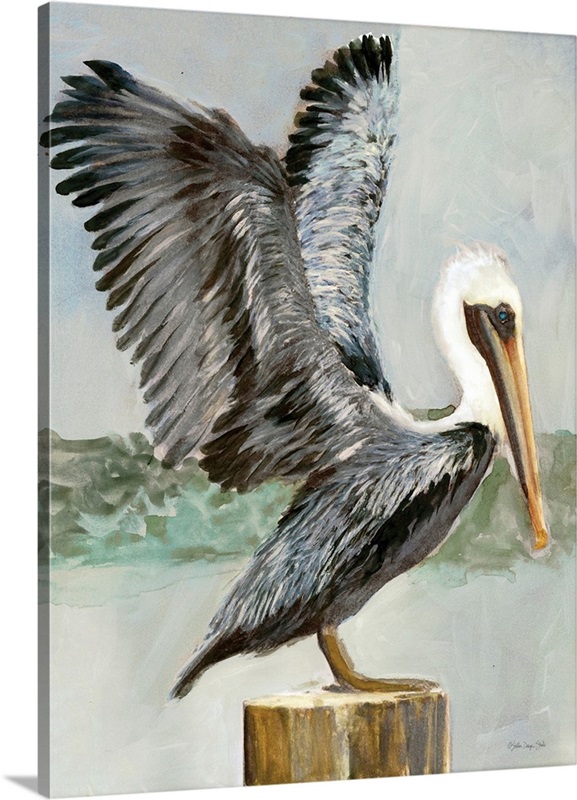 Brown Pelican II | Great Big Canvas
