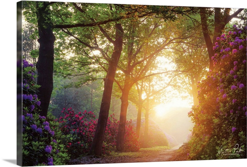 Color Overdose | Great Big Canvas