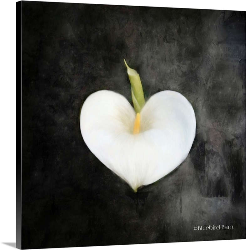 Contemporary Floral Cala Lily | Great Big Canvas