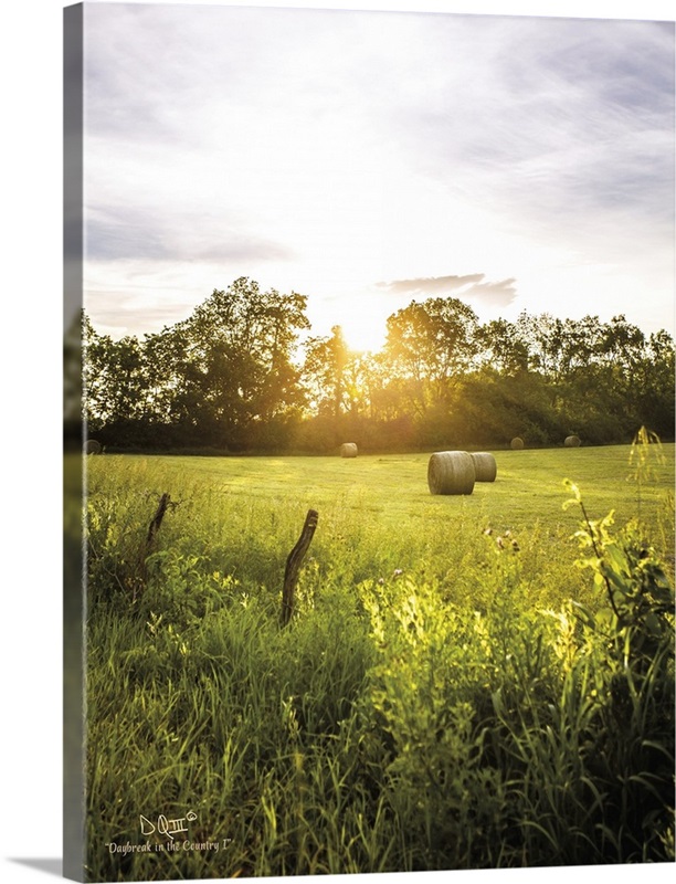 Daybreak in the Country I | Great Big Canvas