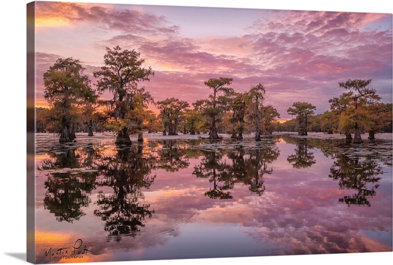 Magnificent Sunset in the Swamps | Great Big Canvas