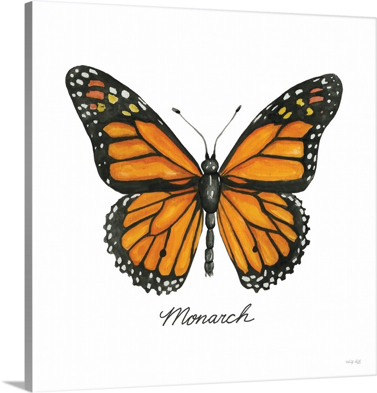 Monarch | Great Big Canvas