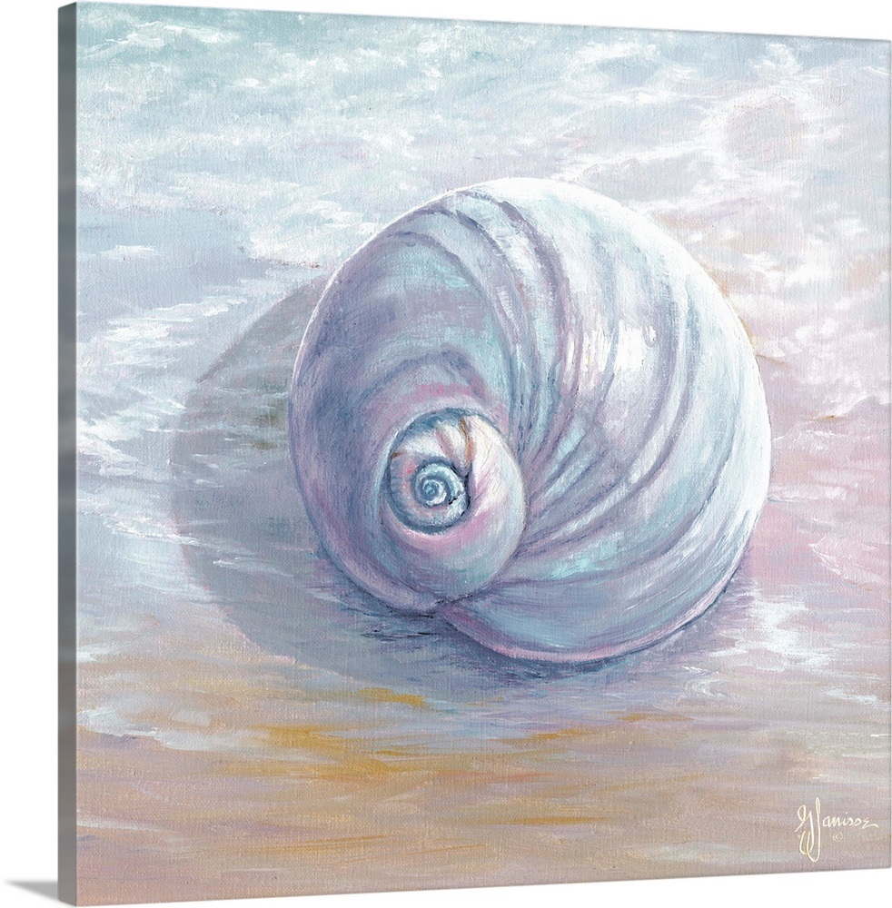 Moon Shell Wall Art, Canvas Prints, Framed Prints, Wall Peels | Great ...