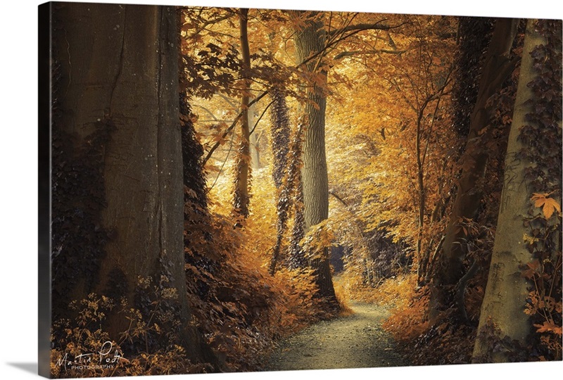 Path to the Light | Great Big Canvas