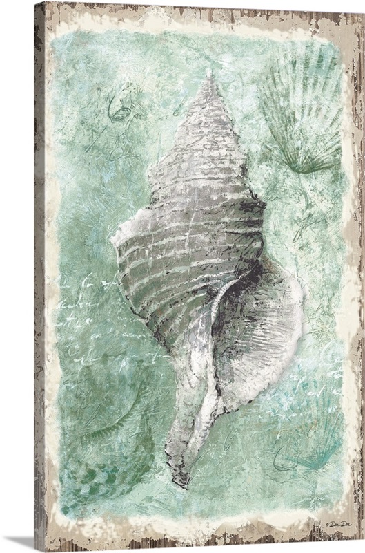Seashell | Great Big Canvas
