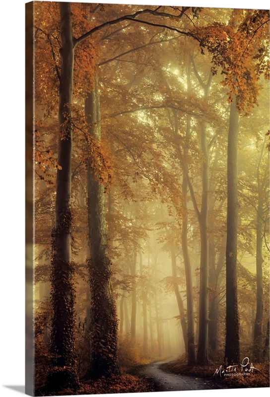 The Path of Liberation | Great Big Canvas