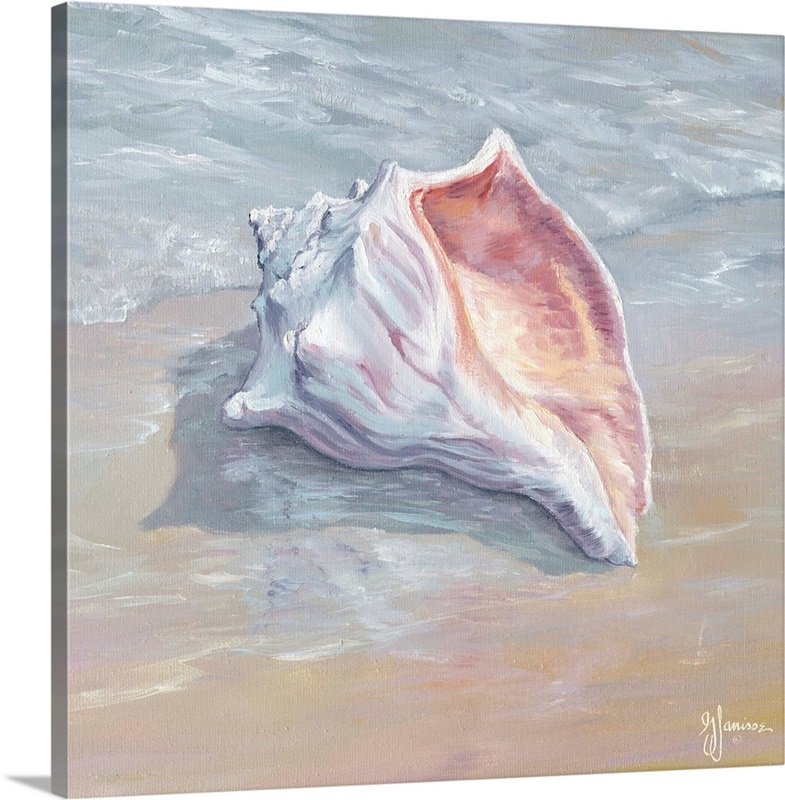 Whelk | Great Big Canvas