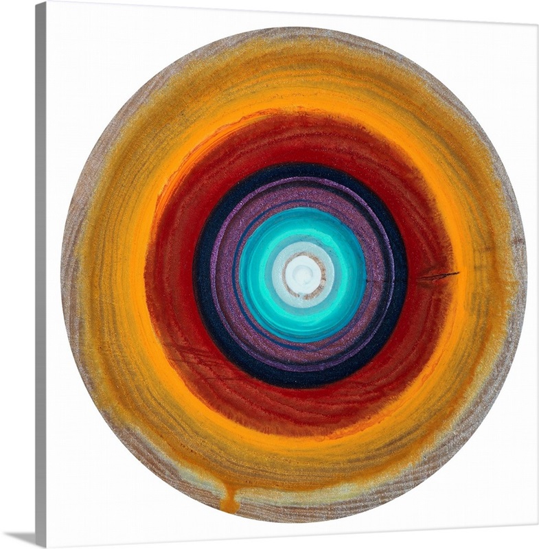A Colorful Bullseye VI | Great Big Canvas