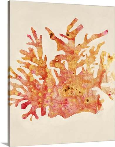 Coral II | Great Big Canvas