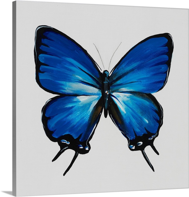 Flying Colors I | Great Big Canvas