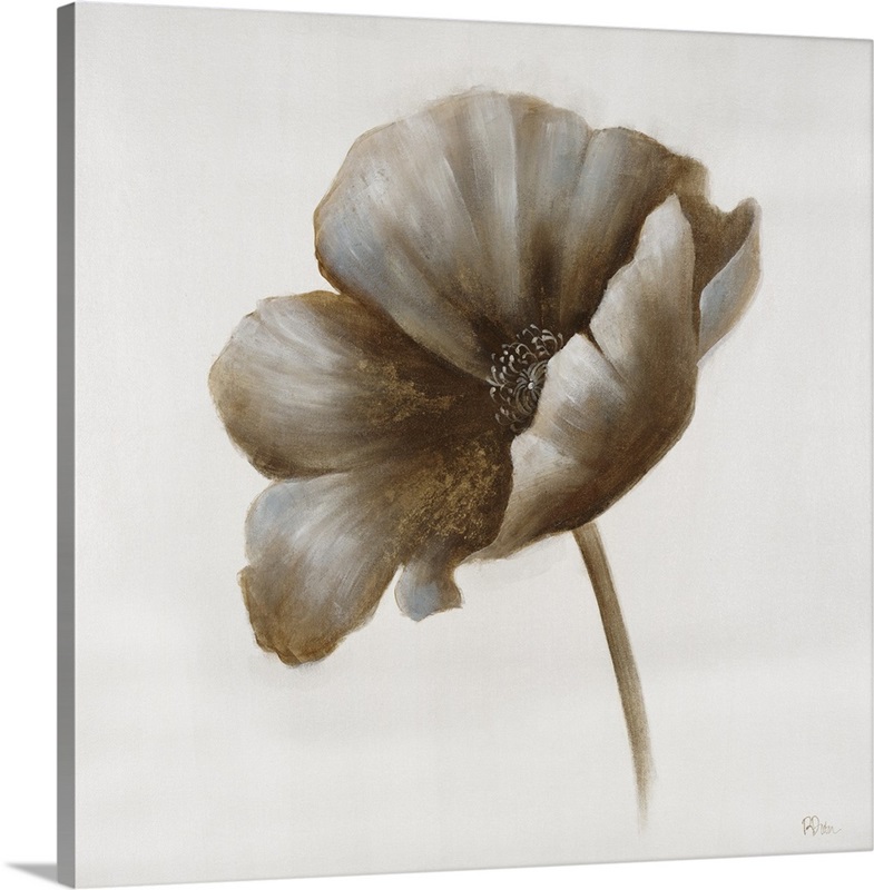 Golden Aged Poppy I | Great Big Canvas