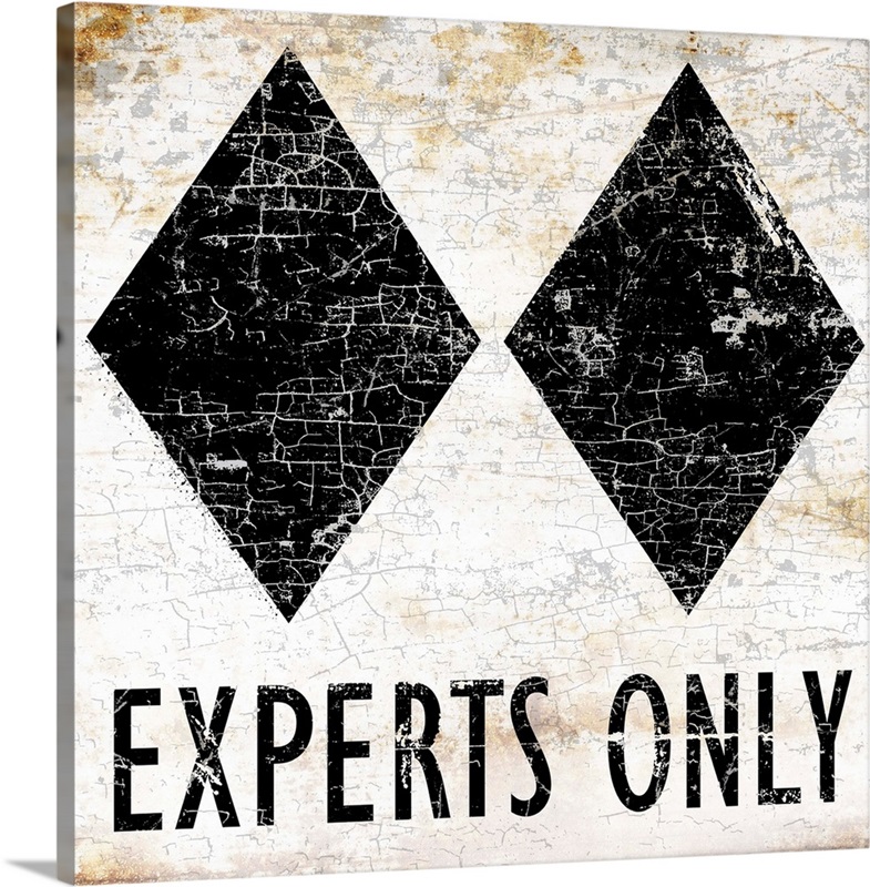 Experts Only Sign | Great Big Canvas