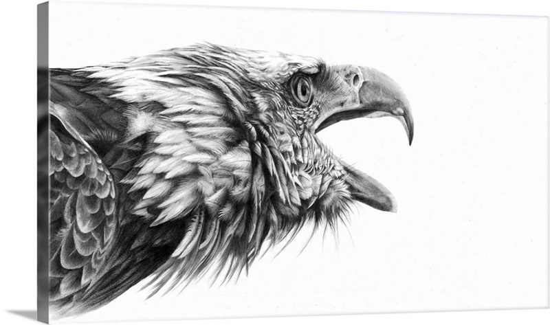 Screaming Eagle | Great Big Canvas