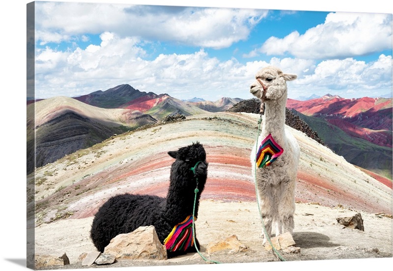 Colors Of Peru - Black And White | Great Big Canvas