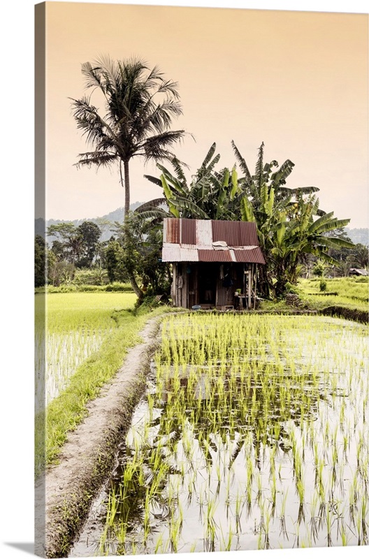 Dreamy Bali - Beautiful Paddy Fields | Great Big Canvas