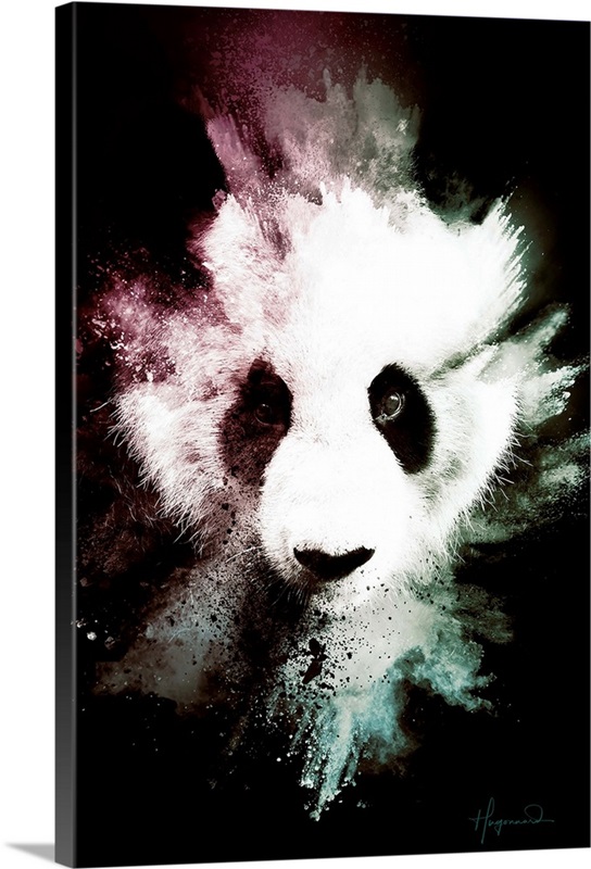 Wild Explosion Collection - The Panda | Great Big Canvas