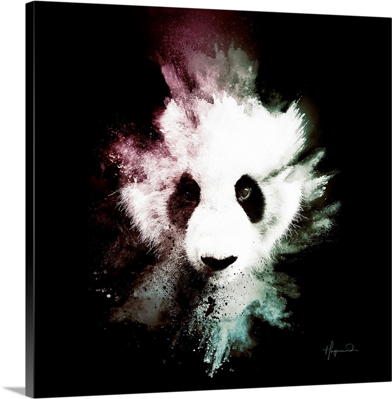 Wild Explosion Square Collection - The Panda | Great Big Canvas