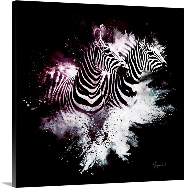Wild Explosion Square Collection - The Zebras | Great Big Canvas